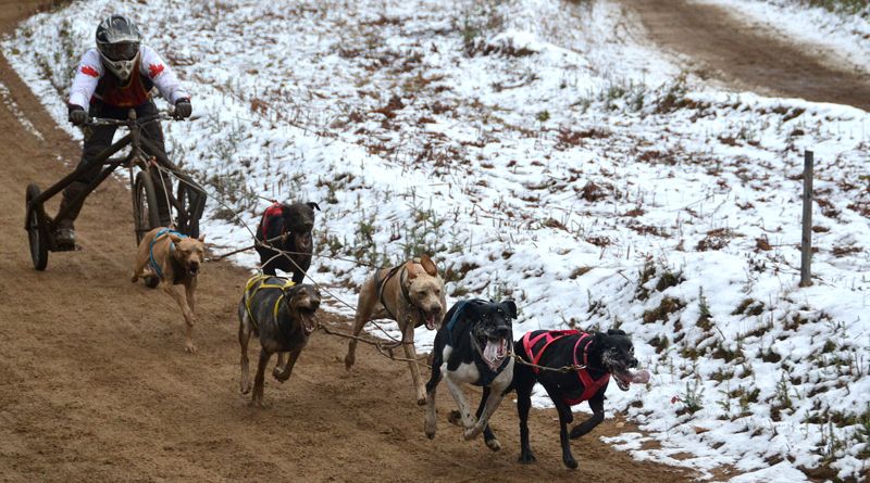 Ninth Dryland race biggest yet - The Equity