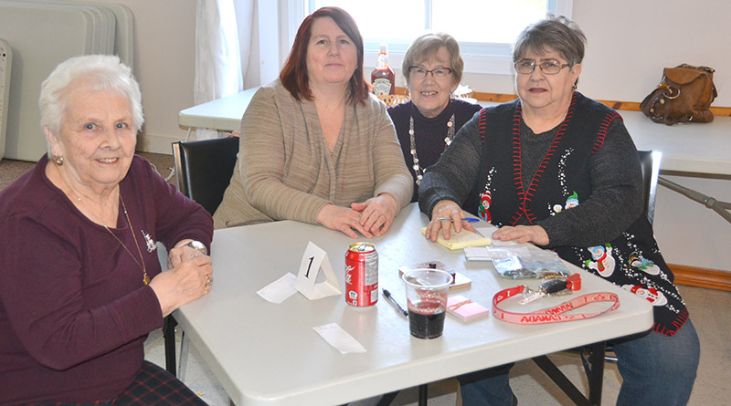 Winter carnival fun in Danford Lake - The Equity