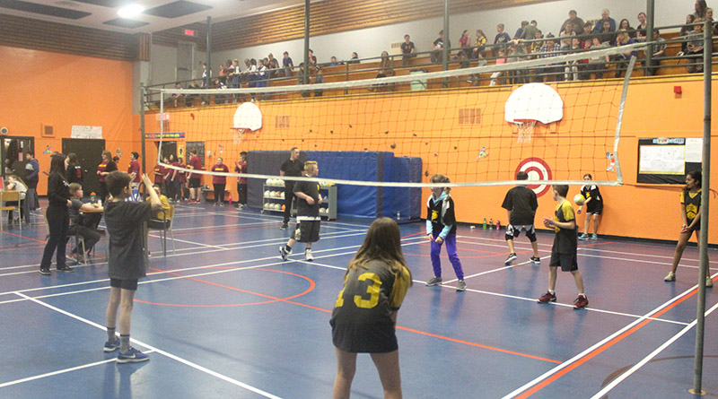 Jolly times with volleys and smiles - The Equity