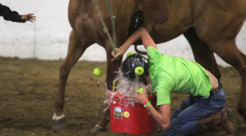 Sunday; Shawville Fair - The Equity