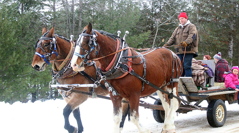 Winter carnivals through the Pontiac bring hundreds to enjoy ...