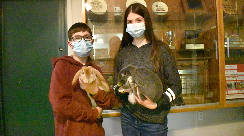 Shawville 4H hosts rabbit talk - The Equity