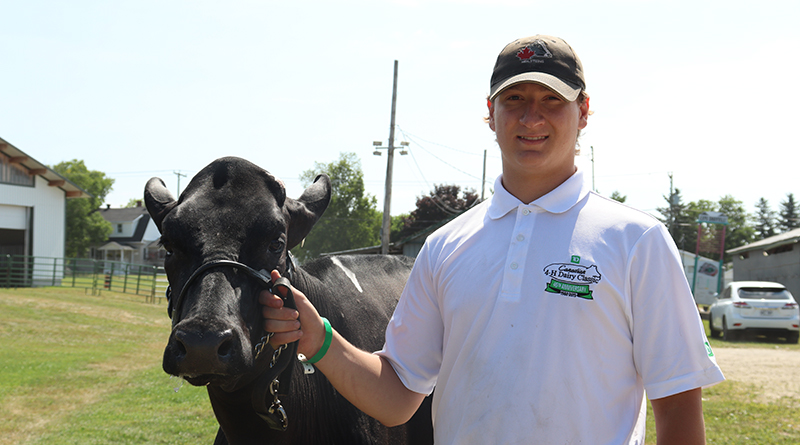 Quebec 4-H moo-ves in for rally - The Equity