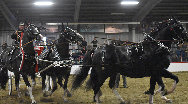 Photos from the fair – The Equity