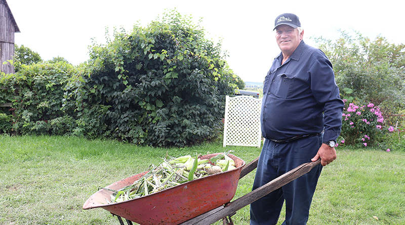 Just stay at it: 100 years of the Draper family farm - The Equity