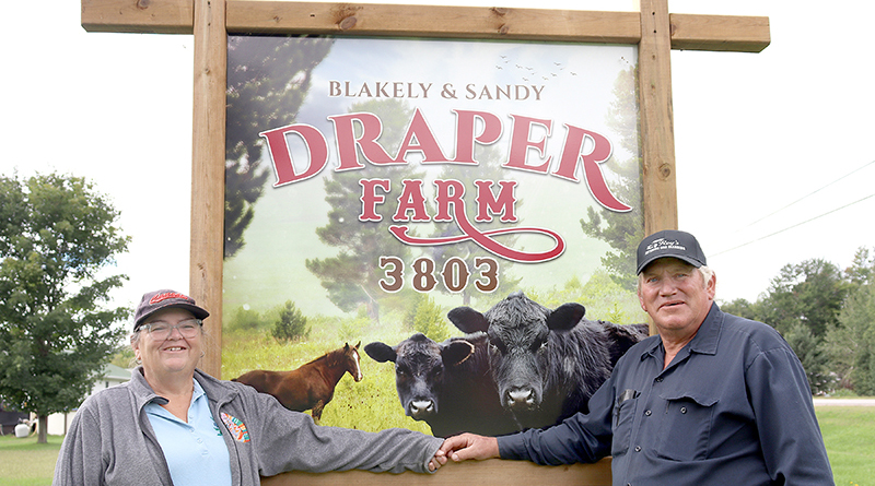 Just stay at it: 100 years of the Draper family farm - The Equity