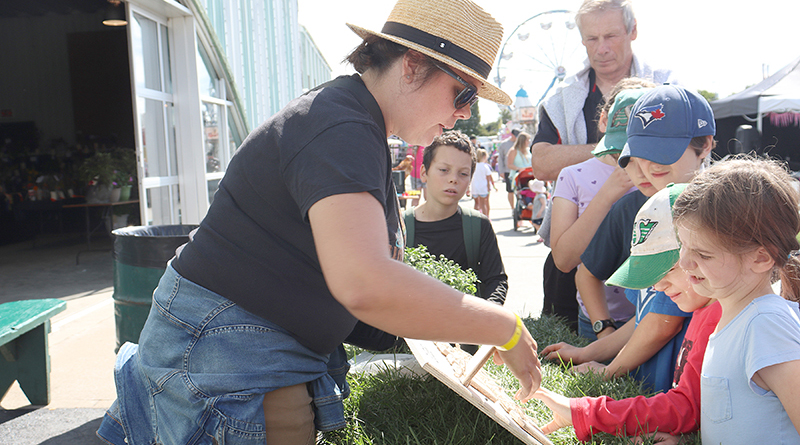 Learning about agriculture - The Equity
