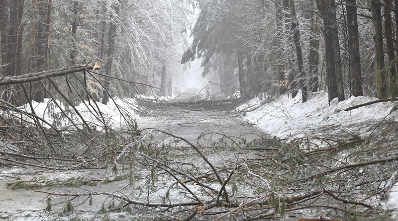 Powerless in the Pontiac: Thousands in the dark for days as Hydro ...