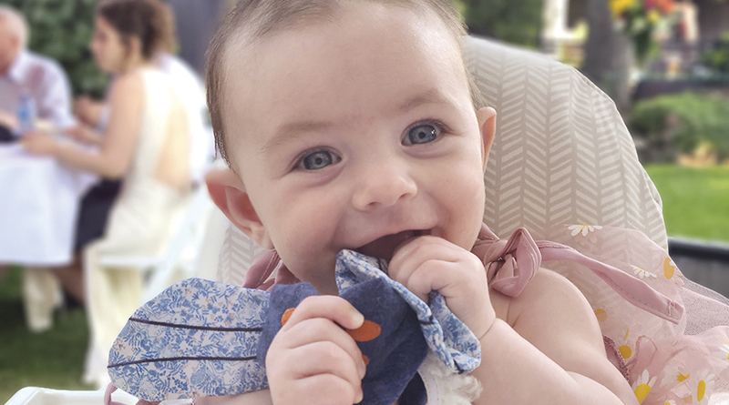 The Babies of 2023 - The Equity
