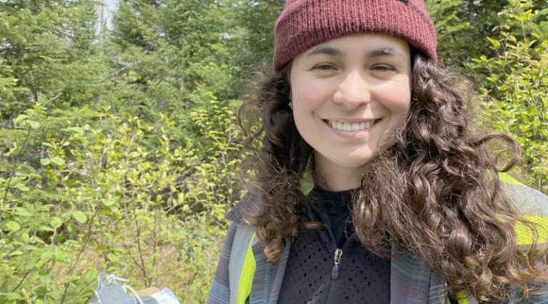 Citizen scientists needed to help save endangered turtles - The Equity