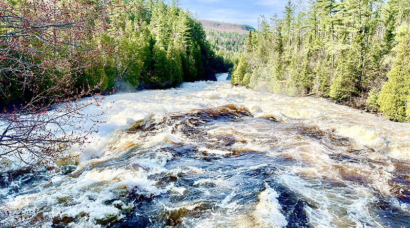 Dumoine’s Tote Road trail complete - The Equity